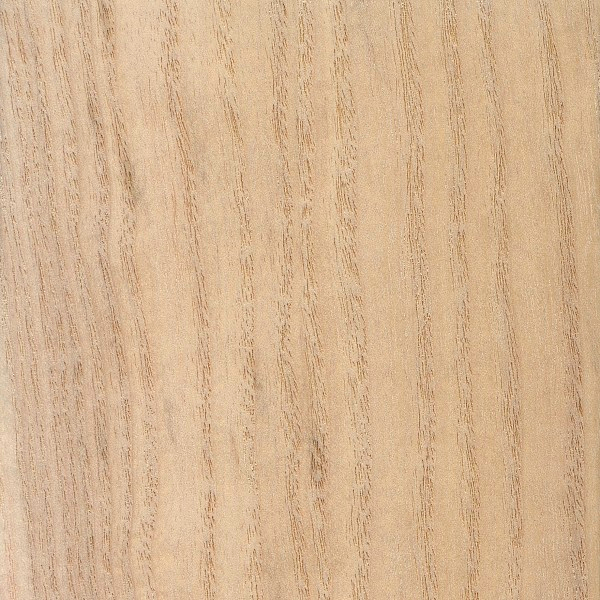 Wood Types – Japan Woodcraft Association