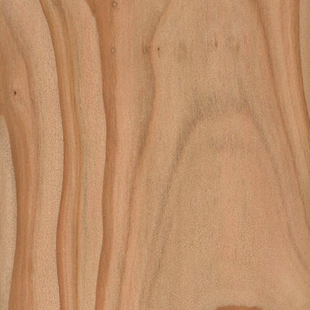 Wood Types – Japan Woodcraft Association
